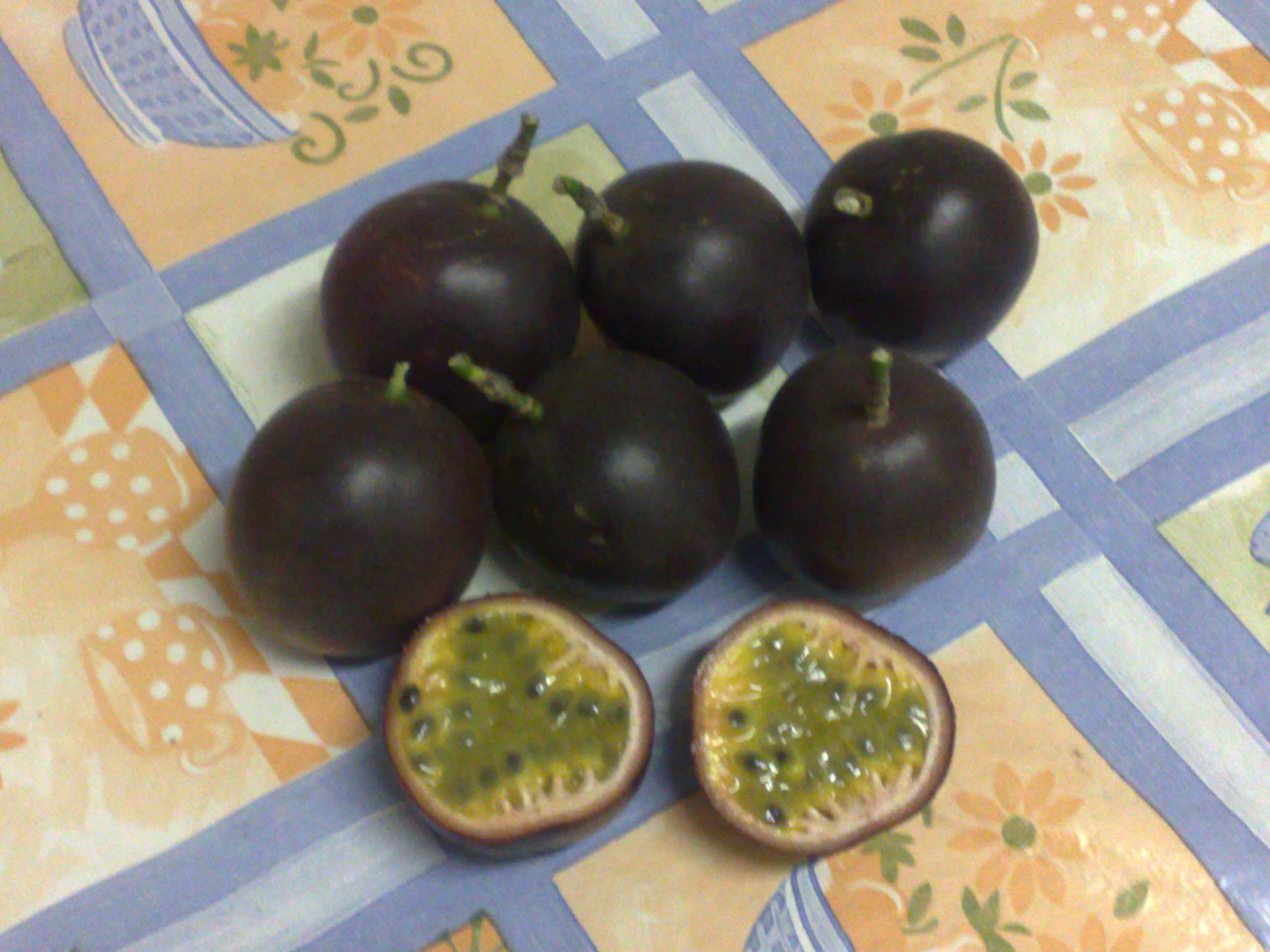 Maracujá Preto ou Maracujá Peroba – Em Geral